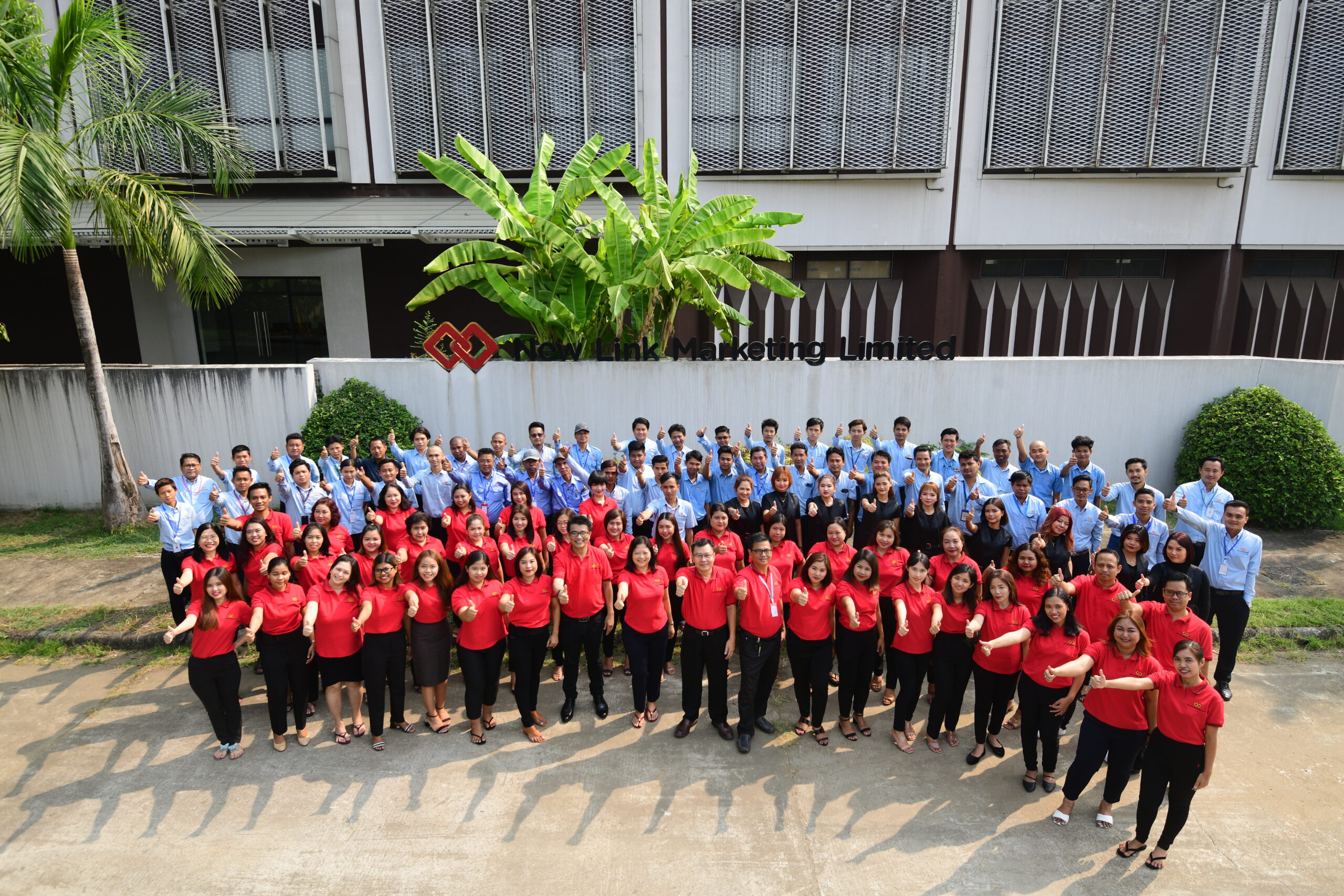 New Link Marketing Limited